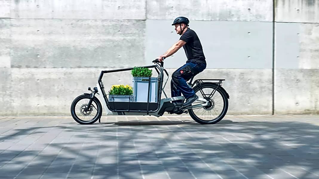 Trend Lastenrad: Drei neue Cargo- und Kompakträder | MYBIKE